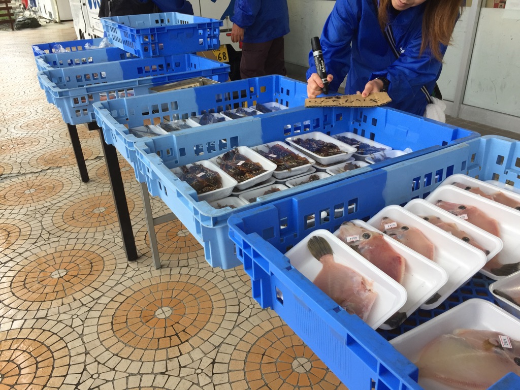 %e3%81%8d%e3%81%a3%e3%81%99%e3%82%8b%ef%bc%92 | 魚々錦ブログ